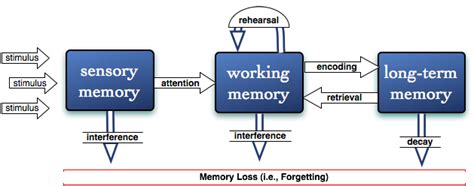 How Your Memory Works Control Your Cognition With Cognitive Thinking
