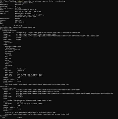 Windows Exporter Daemonset Does Not Expose Metrics About Itself · Issue 1252 · Prometheus