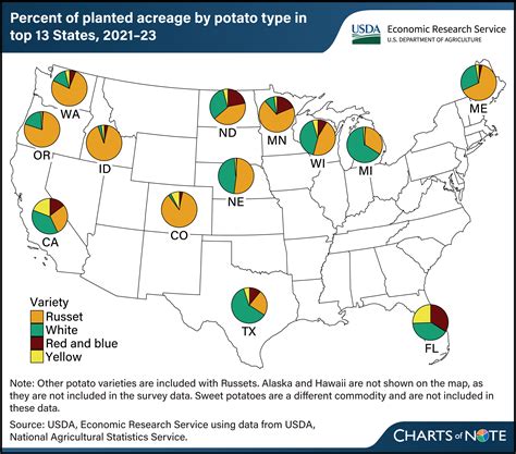 Russets Dominate Potato Acreage In Most Top Producing States Economic