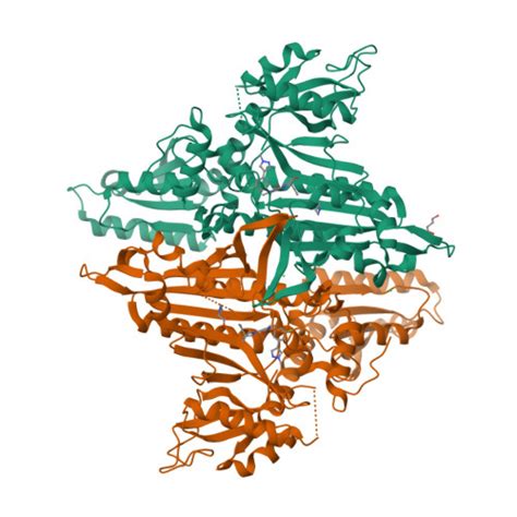 Rcsb Pdb 7f97 Plasmodium Falciparum Prolyl Trna Synthetase Pfprs In Complex With L Proline