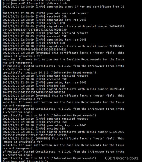 云原生kubernetes二进制部署k8s单master架构（二） Csdn博客