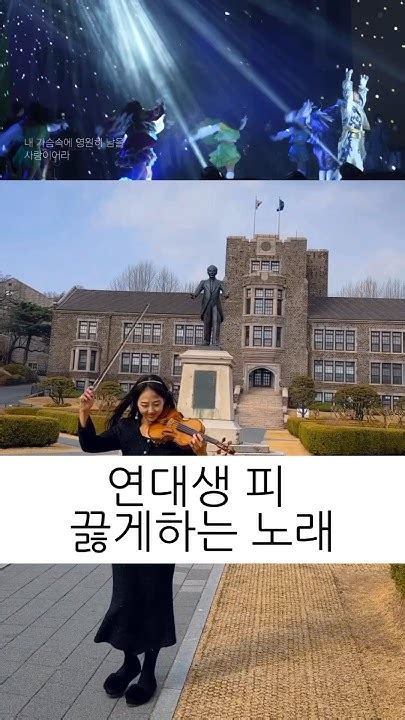 연세여 사랑한다🎻 며칠 전 올린 아이폰 대참사 직후지나가던 분의 도움 덕에 건진 영상입니다🙏🏻연세대학교 응원가 중에 개인적으로 가장 좋아하는 곡이라 소개 드리고 싶었어요💕