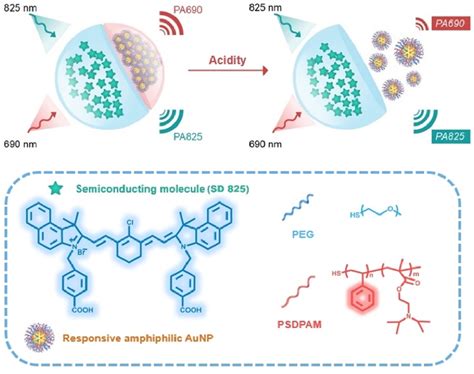 Schematic Illustration Of The Janus Nanocomposite Separately Download Scientific Diagram