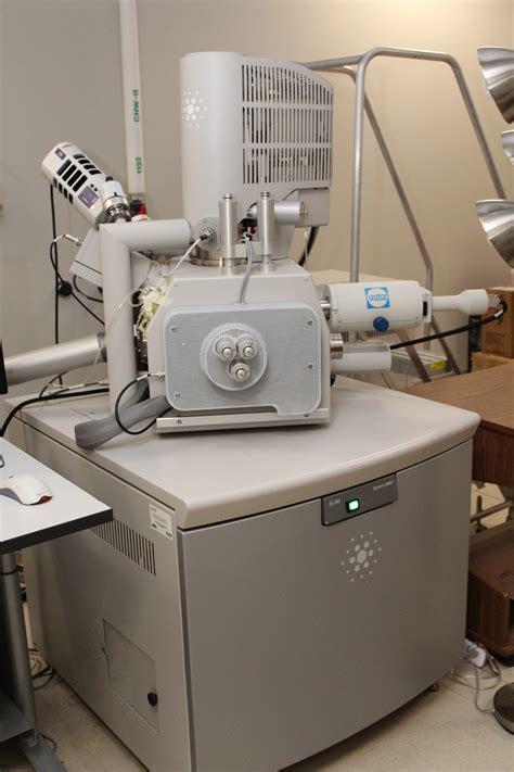 Fei Quanta 600 Fe Sem Microscopy And Imaging Center