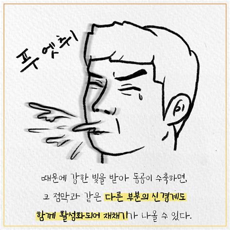 주변에 1명씩 꼭 있는 빛보면 재채기하는 사람들 유머움짤이슈 에펨코리아