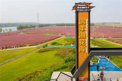徐州丰县润丰湖景区 旅游景点 徐州文旅网徐州市文化广电和旅游局主办 徐州旅游网 徐州旅游景区景点介绍 线路推荐