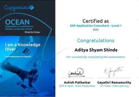 Aditya Shinde On Linkedin Sapmm Getthefutureyouwant Capgemini