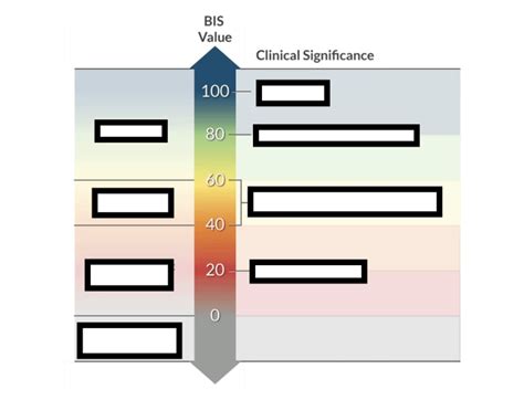Bis Monitor — Printable Worksheet