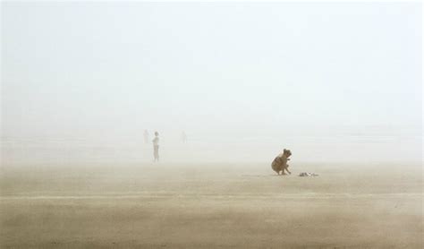 Lawrence Perlman Photography