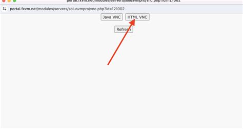 How To Access Your Vps Using Vnc Html Vnc Fxvm Knowledge Base