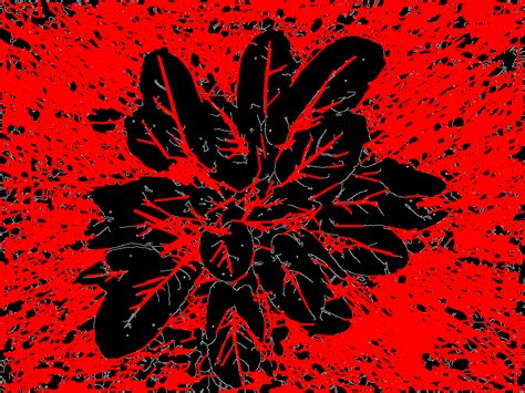 C Detect Plants In A Grass Image Stack Overflow