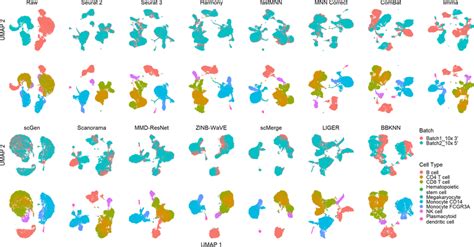 Qualitative Evaluation Of 14 Batch Effect Correction Methods Using Umap Download Scientific