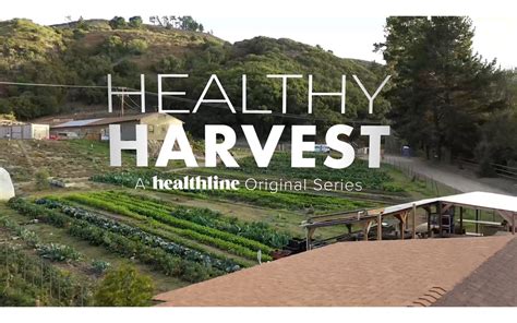 Healthy Harvest Eggs By Healthline With Dare 2 Dream Farms Dare 2