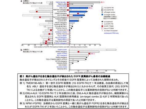 抗がん剤治療における薬剤耐性の克服には「原因となる融合遺伝子を検出し、効果的な薬剤使用を保険適用する」ことが必要—国がん Gemmed