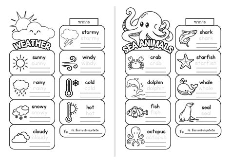 ใบงานคำศัพท์หมวดต่างๆ ตัด แล้วพับได้ สื่อภาษาอังกฤษใดใด