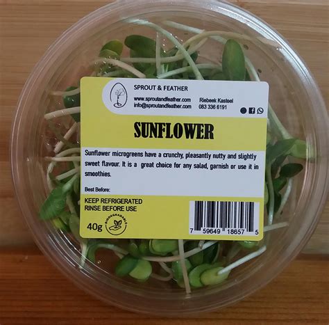 Sunflower Microgreens Sproutandfeather