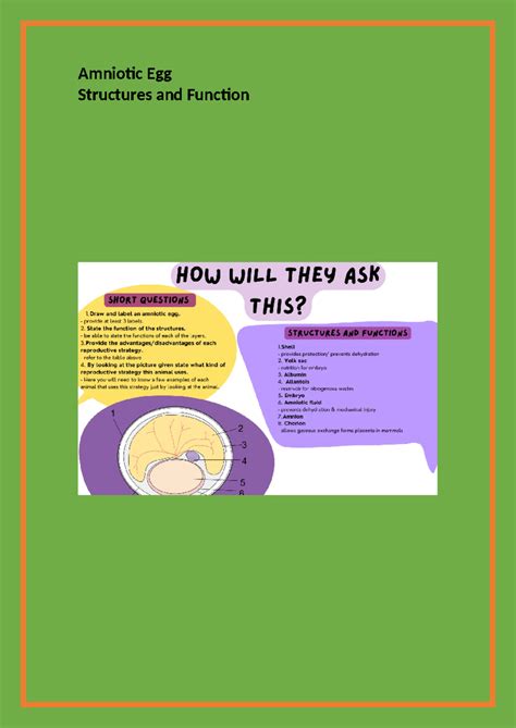 Bio101 Amniotic Egg Structures Functions And Short Question Guide Studocu