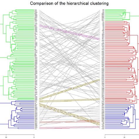 Hierarchical Clustering Of Rhodes Grass Accessions Using Snp And Download Scientific Diagram
