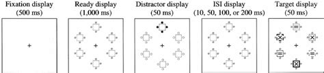 Sequence Of Events In Experiment The Example Corresponds To The Download Scientific Diagram