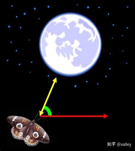 第三十一弹——飞蛾扑火优化算法 知乎