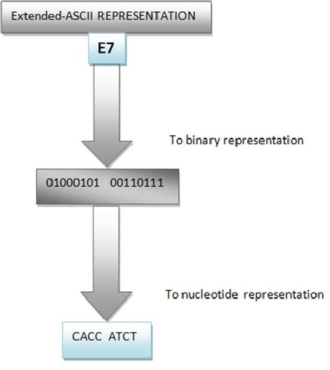 Figure 2 From Dna Sequences Compression Algorithm Based On Extended Ascii Representation