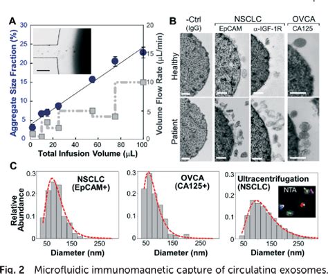 Figure 2 From Integrated Immunoisolation And Protein Analysis Of