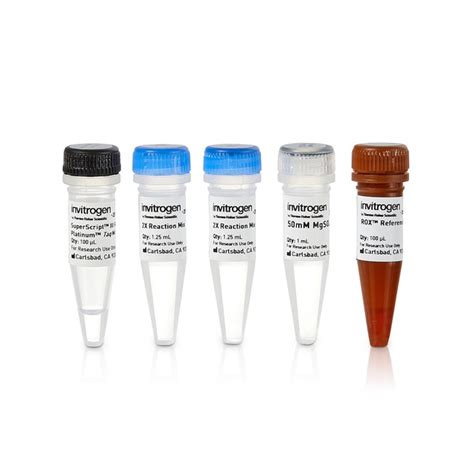 Invitrogen Superscript Iii Platinum One Step Qrt Pcr Kit 500 Reactions Buy Online Invitrogen