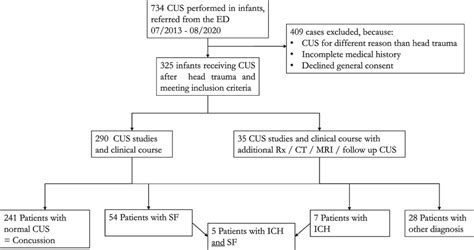 Flow Chart Development From The First Search To Final Diagnosis All