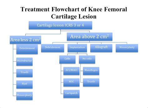 Proposed Treatment Algorithm For Handling A Cartilage Lesion Before