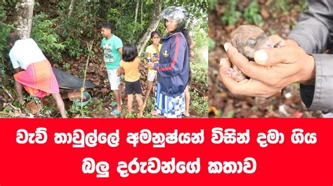 මේ ජිවිත හතර බේරා ගැනිම හැකි නම් උතුම් පිංකමකි Youtube
