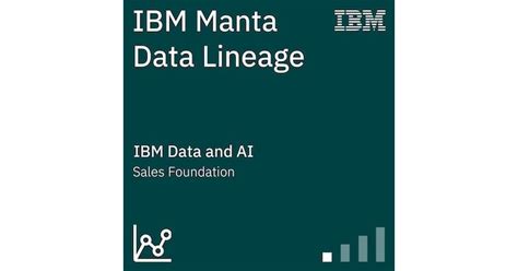 Piero Stanco On Linkedin Ibm Manta Data Lineage Sales Foundation Was