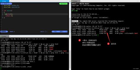【hello Linux】进程概念（下）