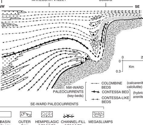 Schematic Longitudinal Nw Se Cross Section Of The Marnoso Arenacea
