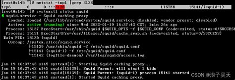 Linux之代理服务器squid安装和使用squid Linux Csdn博客