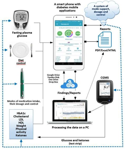 Platform For Self Monitoring Of Patients With Diabetes Mellitus With Download Scientific