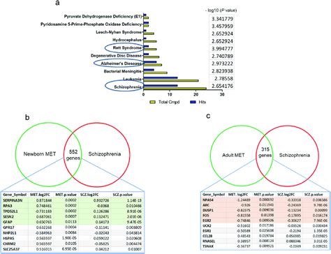 Integrated Mouse Human Transcriptomic Analysis Reveals Overlap Between