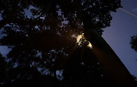 devlog introducing dynamic weather and a day night cycle
