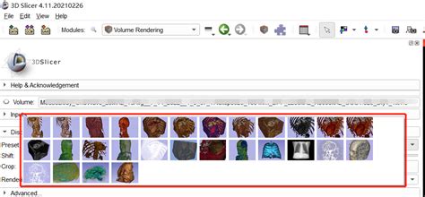how to load custom presets when slicer starts up support 3d slicer