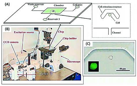 Schematic Diagram Of The Layout And Instrument Setup Of The