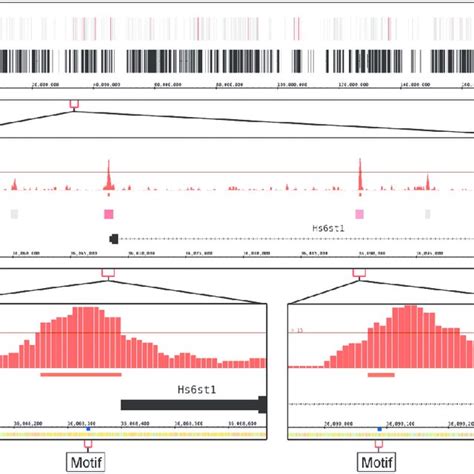 Visualizing Chip Seq Data A Macs Bed File With Peak Regions From