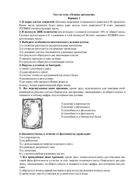 Тест по биологии основы учения о клетке цитология наука изучающая клетку многообразие