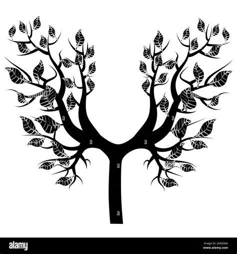 Black Silhouette Of Young Symmetrical Tree With Leaves Isolated On