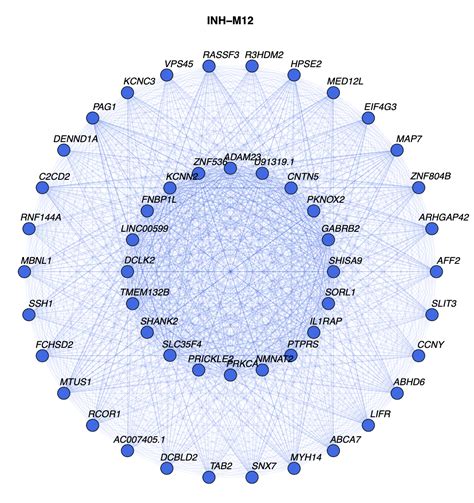Network Visualization • Hdwgcna