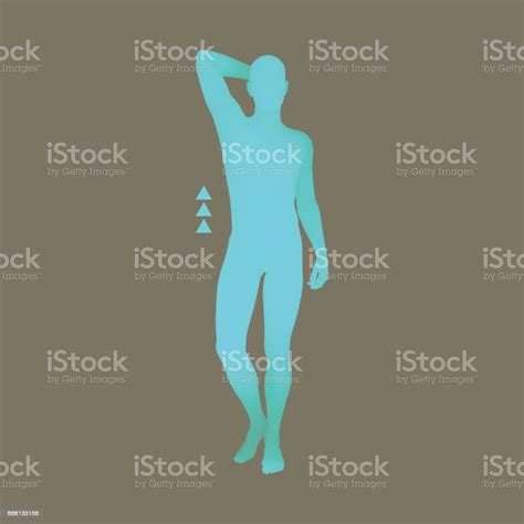 서 서 남자 3d 인체 모델입니다 디자인 요소입니다 벡터 일러스트입니다 3차원 형태에 대한 스톡 벡터 아트 및 기타 이미지 3차원 형태 계획 과시함 Istock
