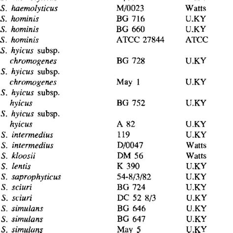 Source Of Staphylococcus Spp Used To Evaluate Growth On Selective Media Download Scientific