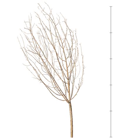 Spacecolonizationplus Portfolio Jana Jansen