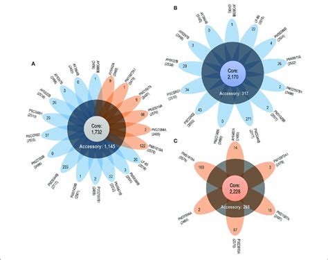 P Salmonis Pan Genome A Flower Plot Of All 19 P Salmonis Strains