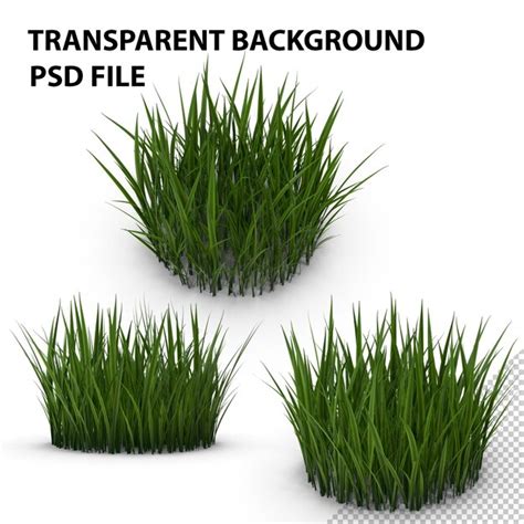 Grass Small Png Premium Psd