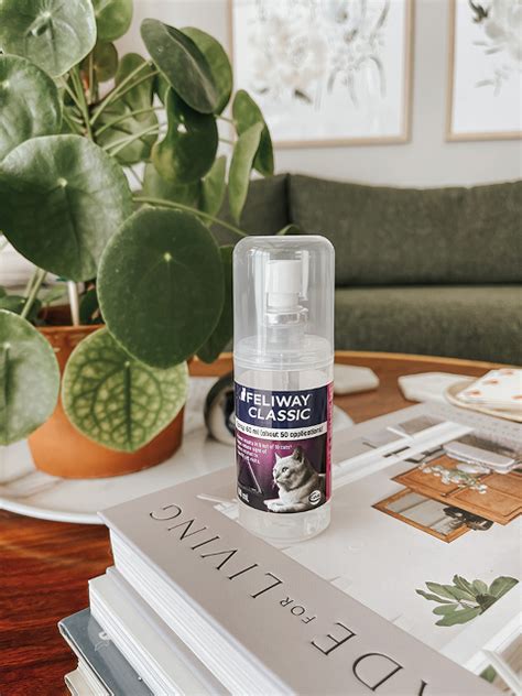 How To Stop Cat Scratching At Home Dream Green DIY