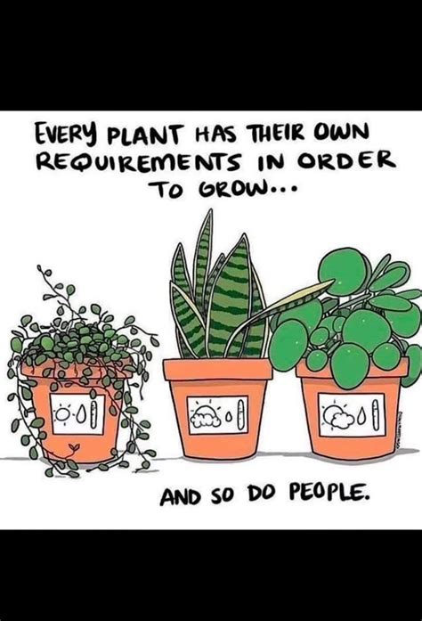 Sahil Sayyed On Linkedin Agree